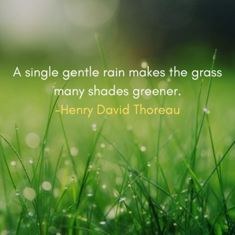 80 Motivational Rain Quotes