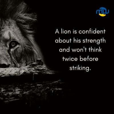 80 Attitude Powerful Lion Quotes To Regain Your Confidence