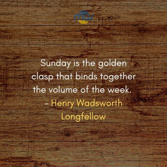 80 Funny Sunday Funday Quotes, Hilarious Sunday Quotes Images