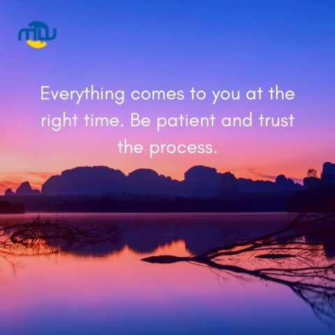 Find Stability And Hope With 100+ Trust The Process Quotes