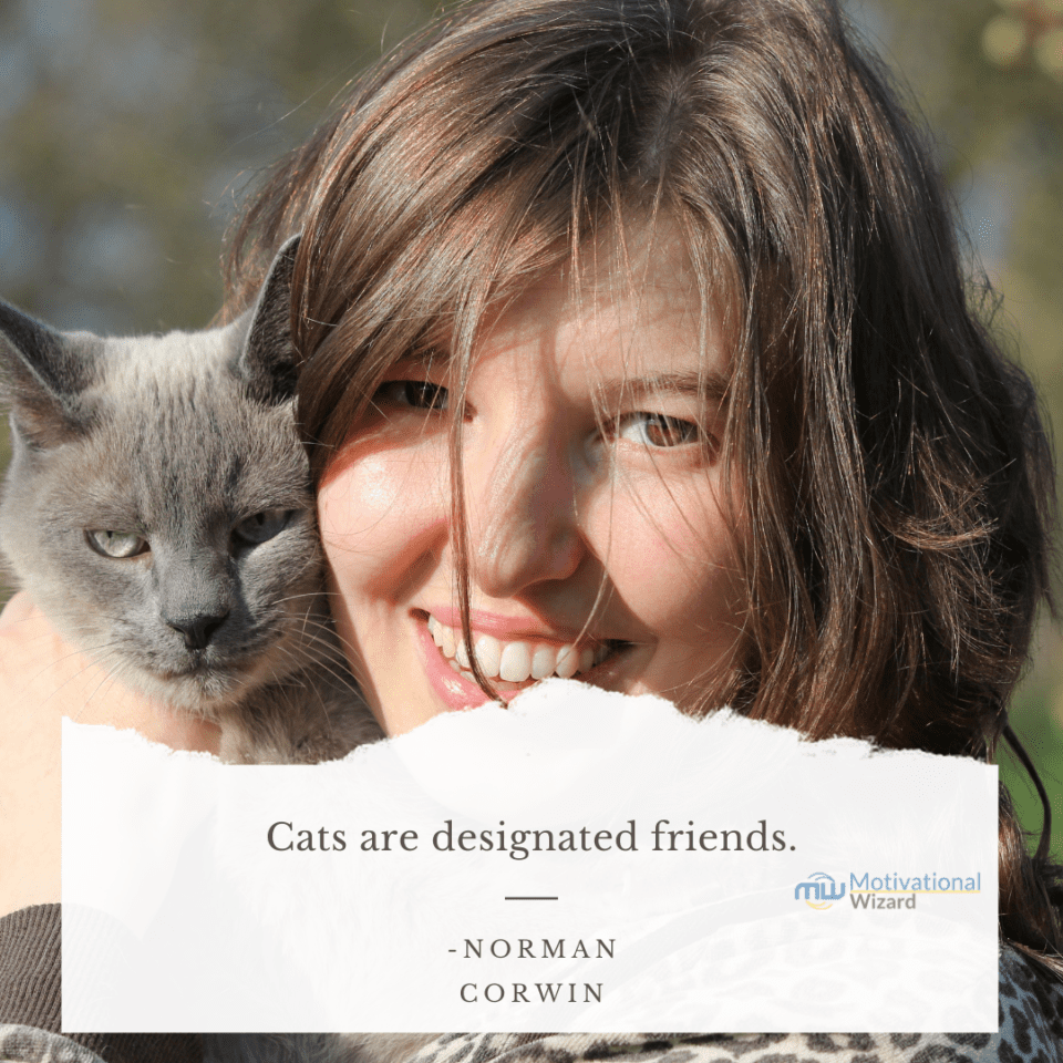 Top 30 Cats Quotes For Cats Lovers