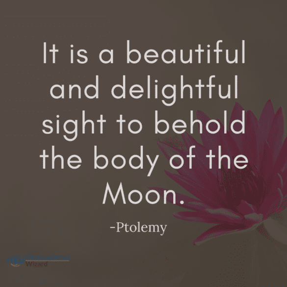 Top 30 Delightful Quotes