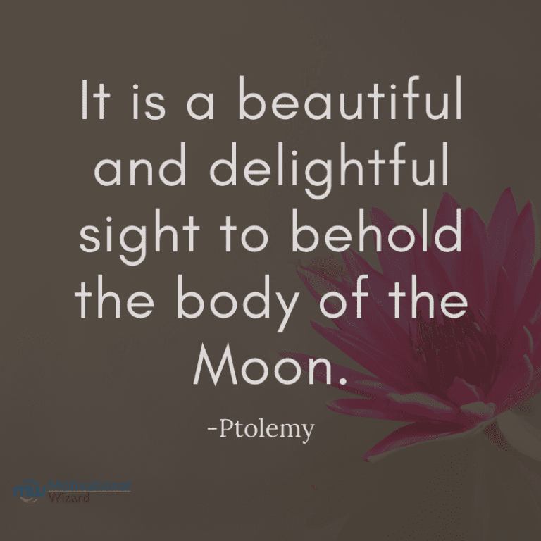 Top 30 Delightful Quotes