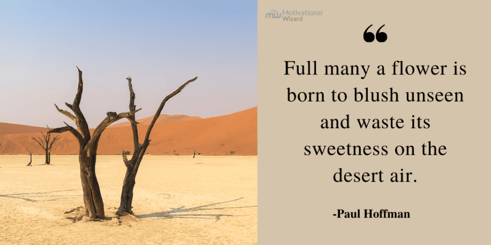 Top 30 Desert Quotes