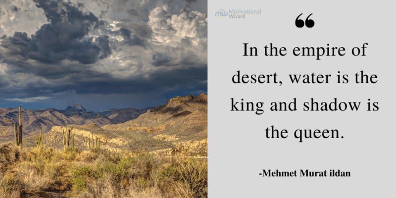 Top 30 Desert Quotes