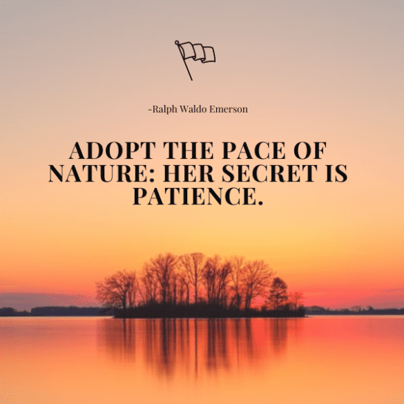 Best Mountain Quotes To Inspire Your Next Adventure