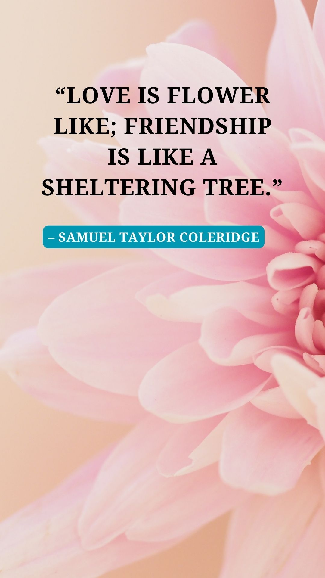 Amazing Flower Quotes For Instagram That You Should Use