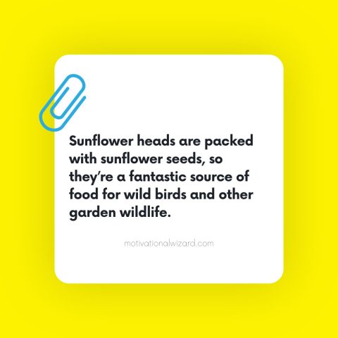 70 Hippie Sunflower Quotes About Love And Happiness