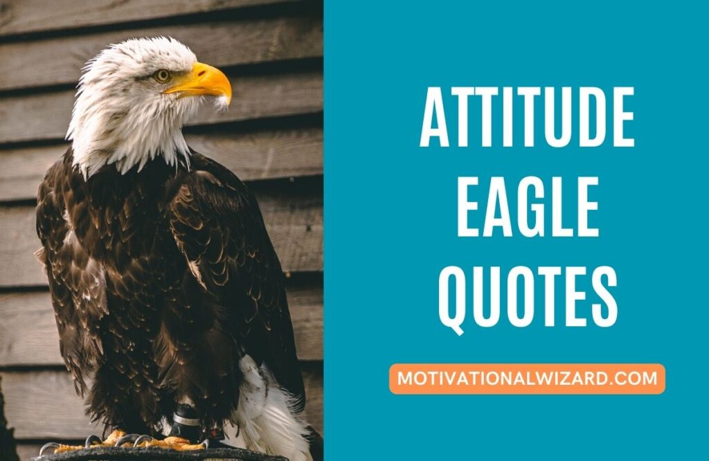 100 Powerful Attitude Eagle Quotes to Inspire Your Inner Strength