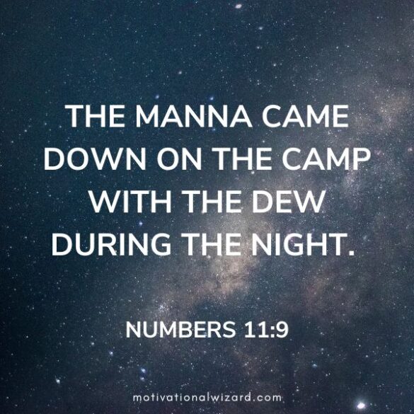 100 Best Good Night Bible Verse Quotes