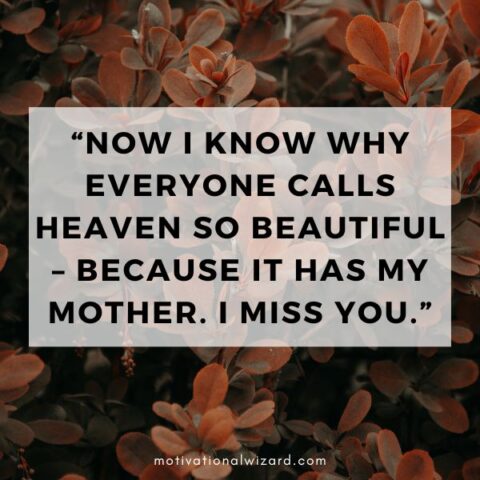 271 Touching Missing You Mother Quotes | Messages | Images