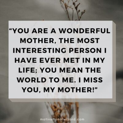 271 Touching Missing You Mother Quotes | Messages | Images