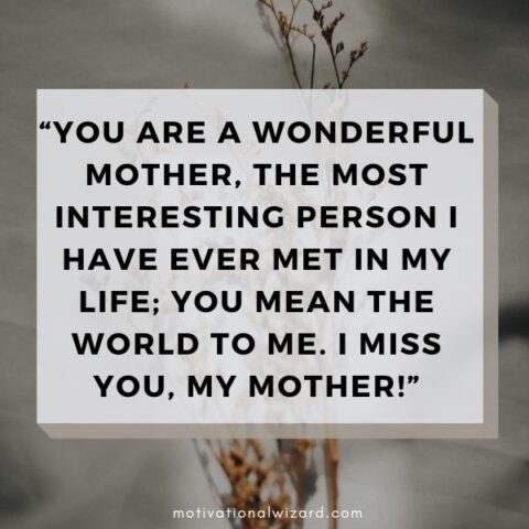 271 Touching Missing You Mother Quotes | Messages | Images