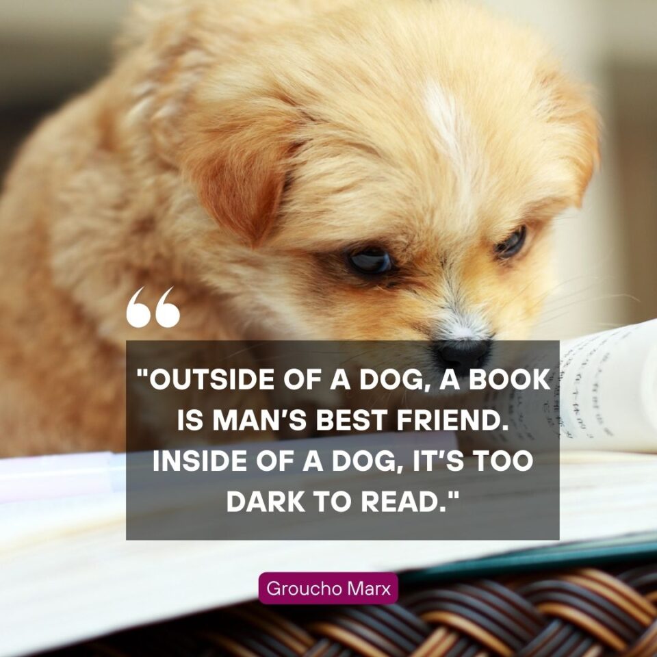 100 Positive Study Quotes To Inspire And Motivate