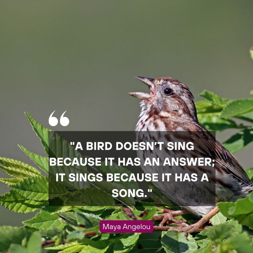 100 Positive Study Quotes To Inspire And Motivate