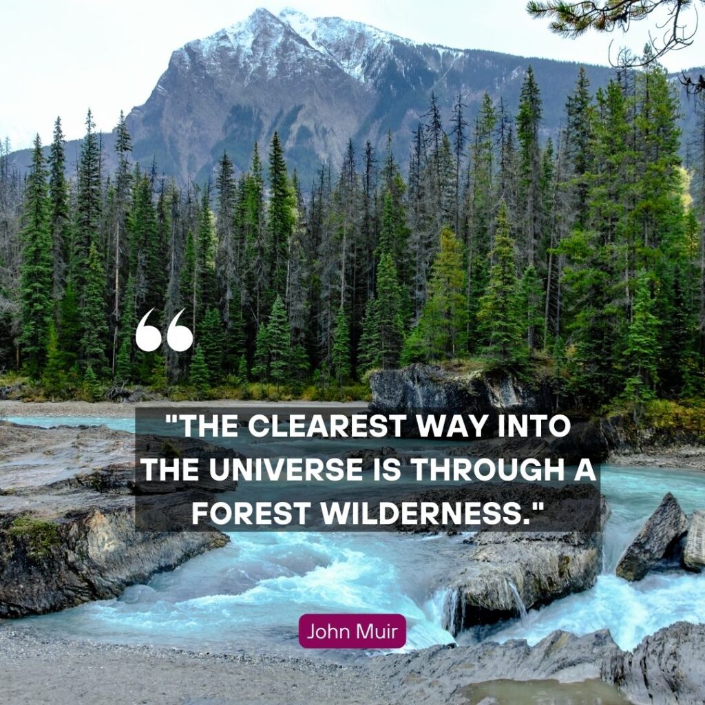 100 Positive Quotes For Men To Inspire And Motivate