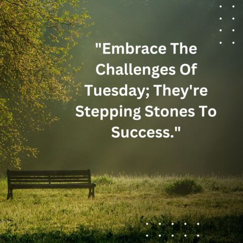 Tuesday Motivational Quotes For Work