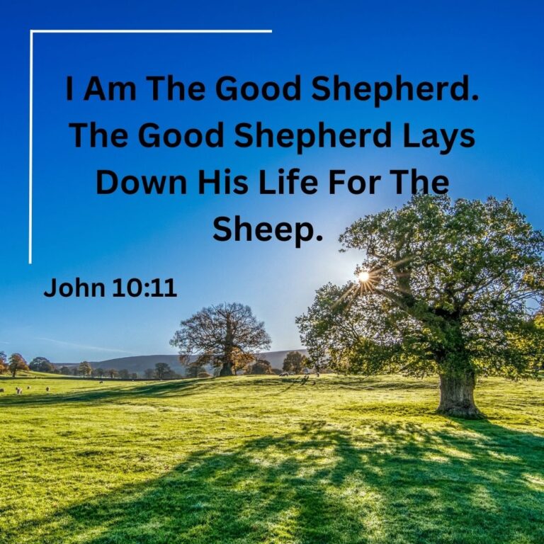 Bible Verse Of The Day Friday September 15 2023