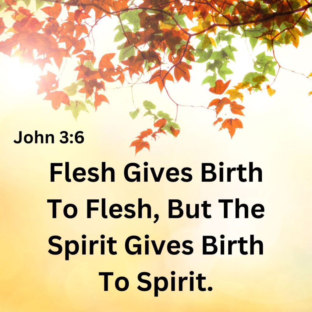 Bible Verse Of The Day Wednesday September 13 2023