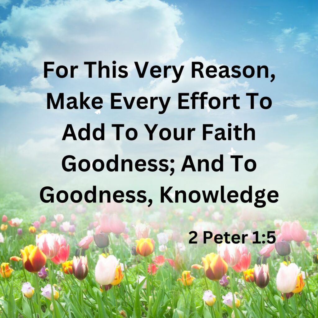 Bible Verse Of The Day Saturday January 06 2024
