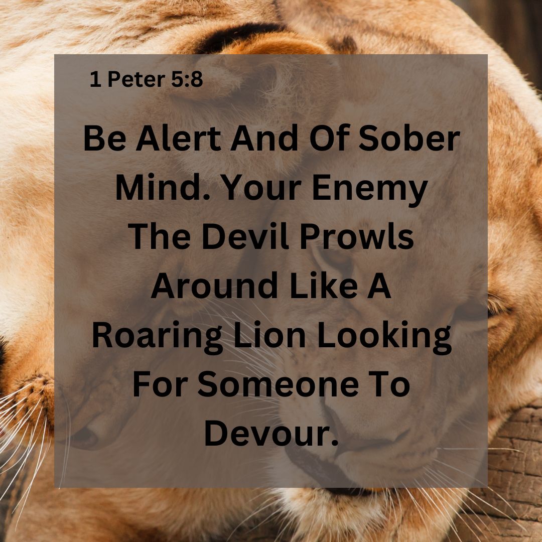 Bible Verse Of The Day Friday January 05 2024