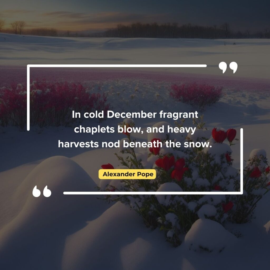 Beyond The Calendar December Quotes For Enduring Inspiration