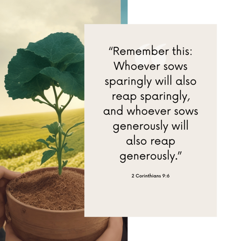 Bible Verse Of The Day: Reap What You Sow