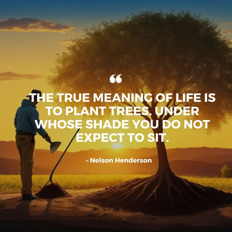 Get Inspired To Plant Roots With These Tree Quotes