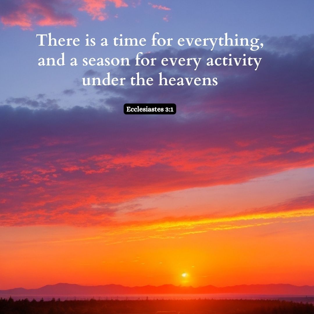 Bible Verse Of The Day: Time For Everything