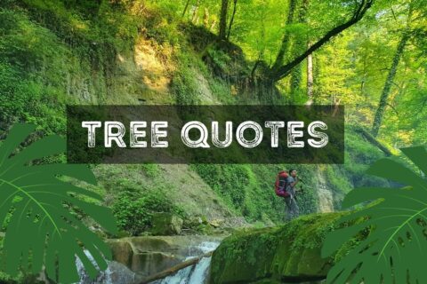 200 3 Word Inspirational Quotes You Should Know
