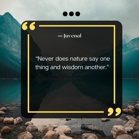 150 Motivational Wisdom Quotes About Life Lessons For Growth And Self ...