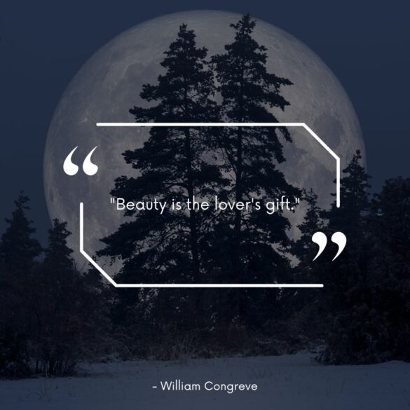 100+ Inspiring Beauty Quotes To Spark Self-Acceptance And Inner Peace