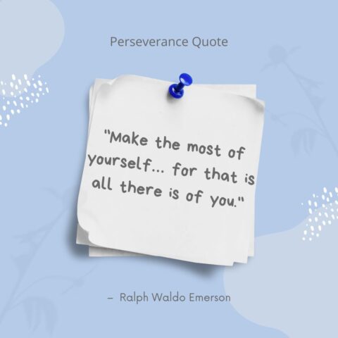 100+ Perseverance Quotes To Inspire Determination And Resilience