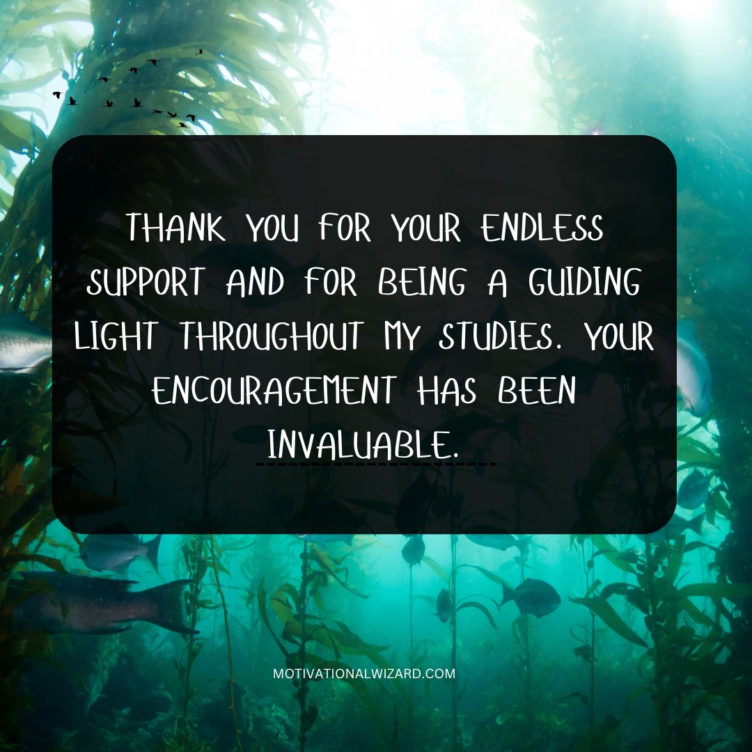 Thank You Message For Teachers: 320 Ways To Express Sincere Appreciation